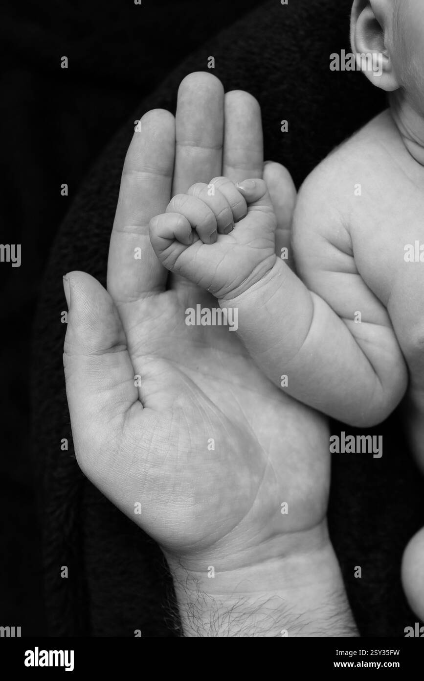 Contrasting size image of a baby hand on the parents hand - a ...