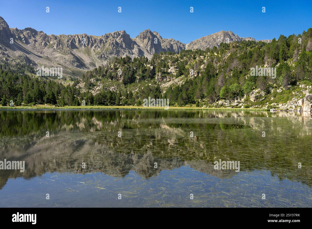Primer Estany of the Pessons lakes in Andorra, Pyrenees Stock Photo - Alamy