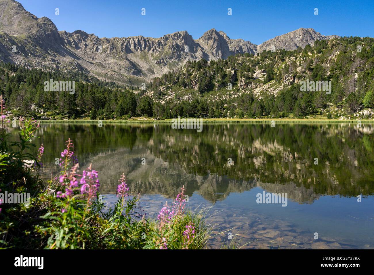 Primer Estany of the Pessons lakes in Andorra, Pyrenees Stock Photo - Alamy