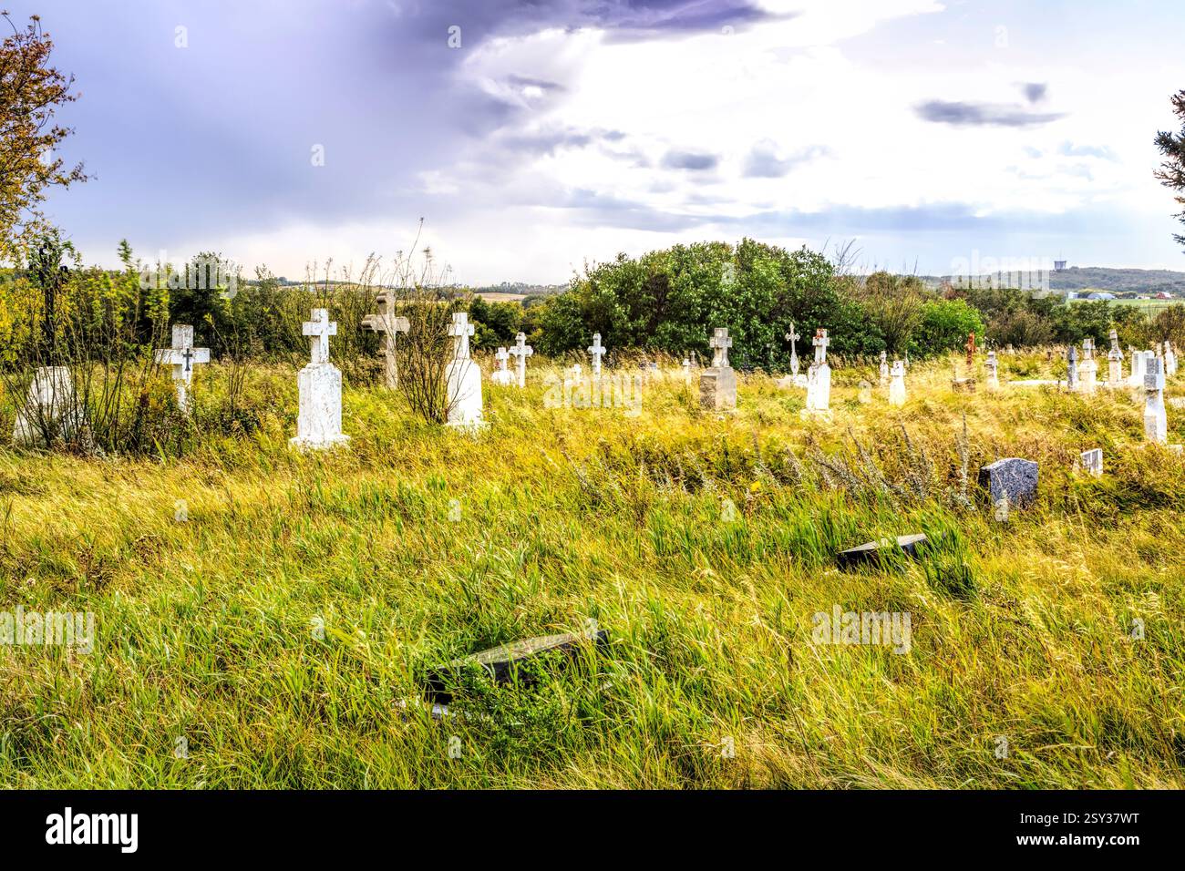 Cemetery with many graves and crosses. The grass is tall and the sky is ...