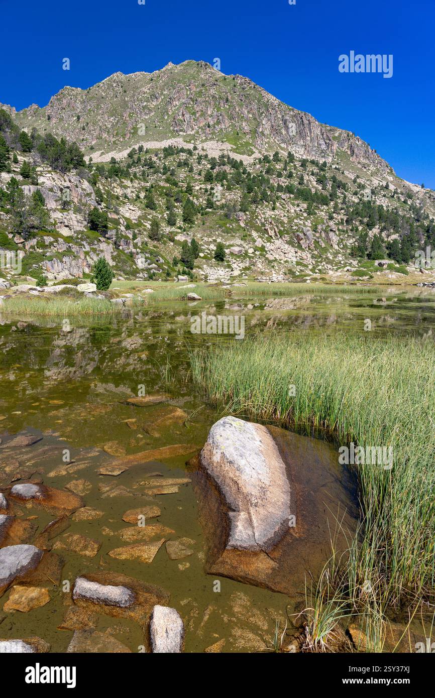 Forcat Estany of the Pessons lakes in Andorra, Pyrenees Stock Photo - Alamy