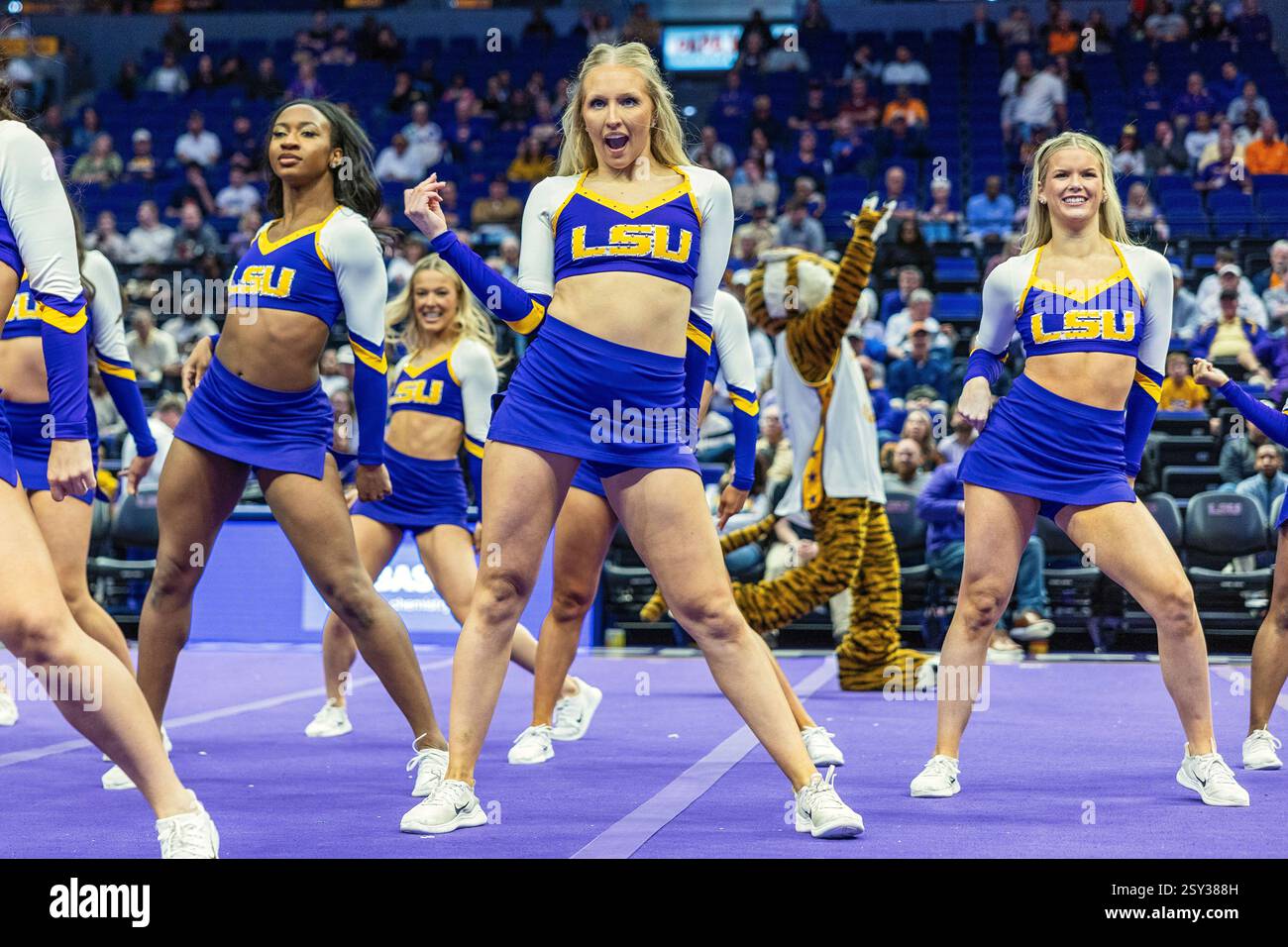 BATON ROUGE, LA - FEBRUARY 25: The LSU Tigers cheerleaders entertain ...