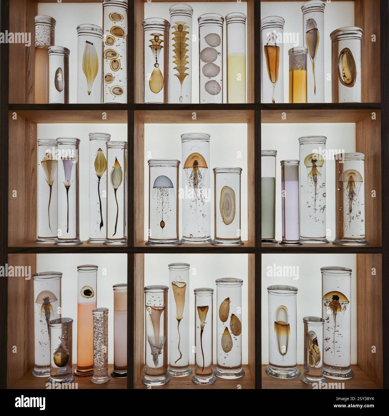 London, UK. 26th Feb, 2025. Steffen Dam's delicate glass works at ...