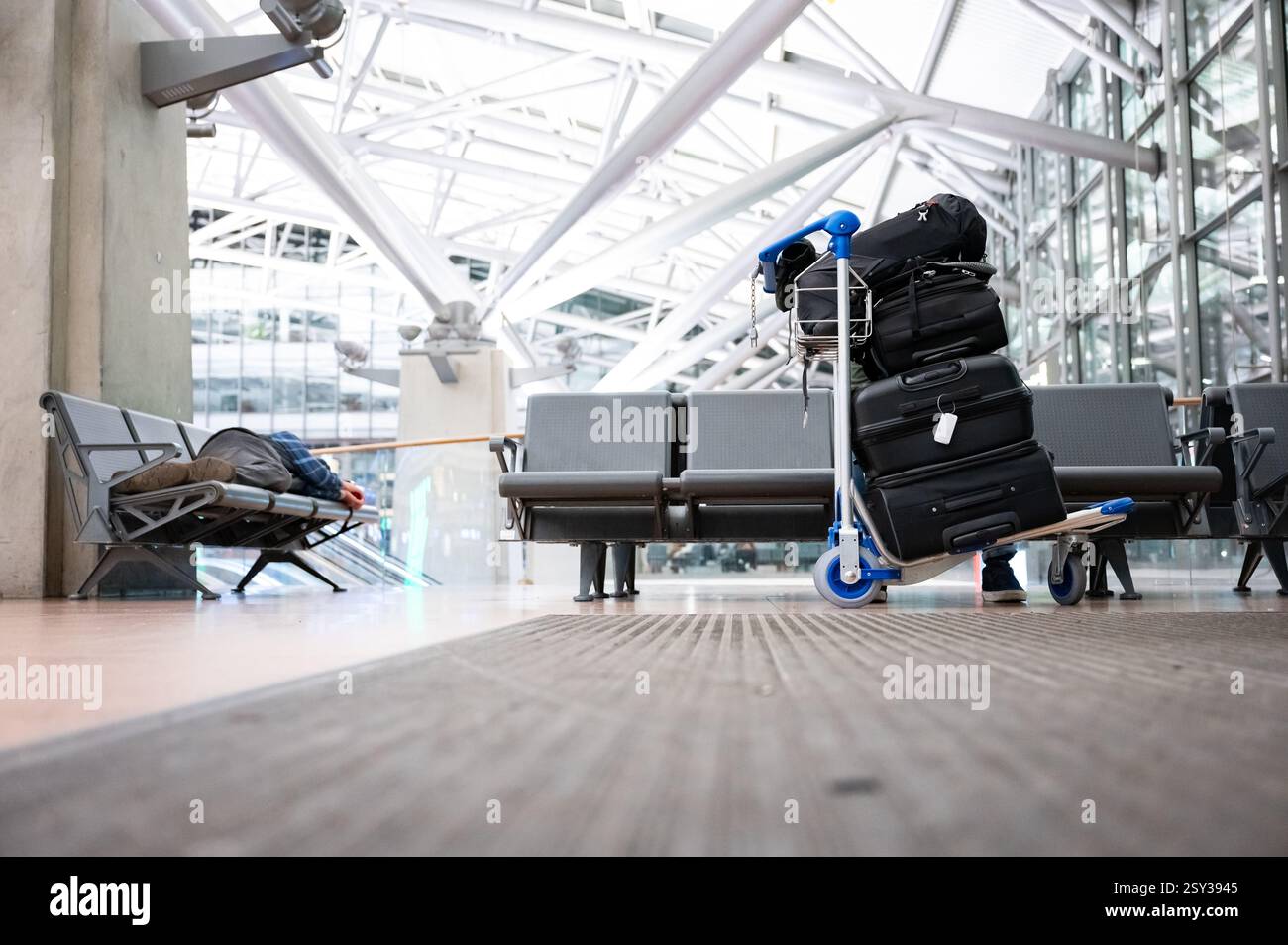 26 February 2025, Hamburg: Suitcases lie on a luggage trolley in front of a waiting passenger in ...