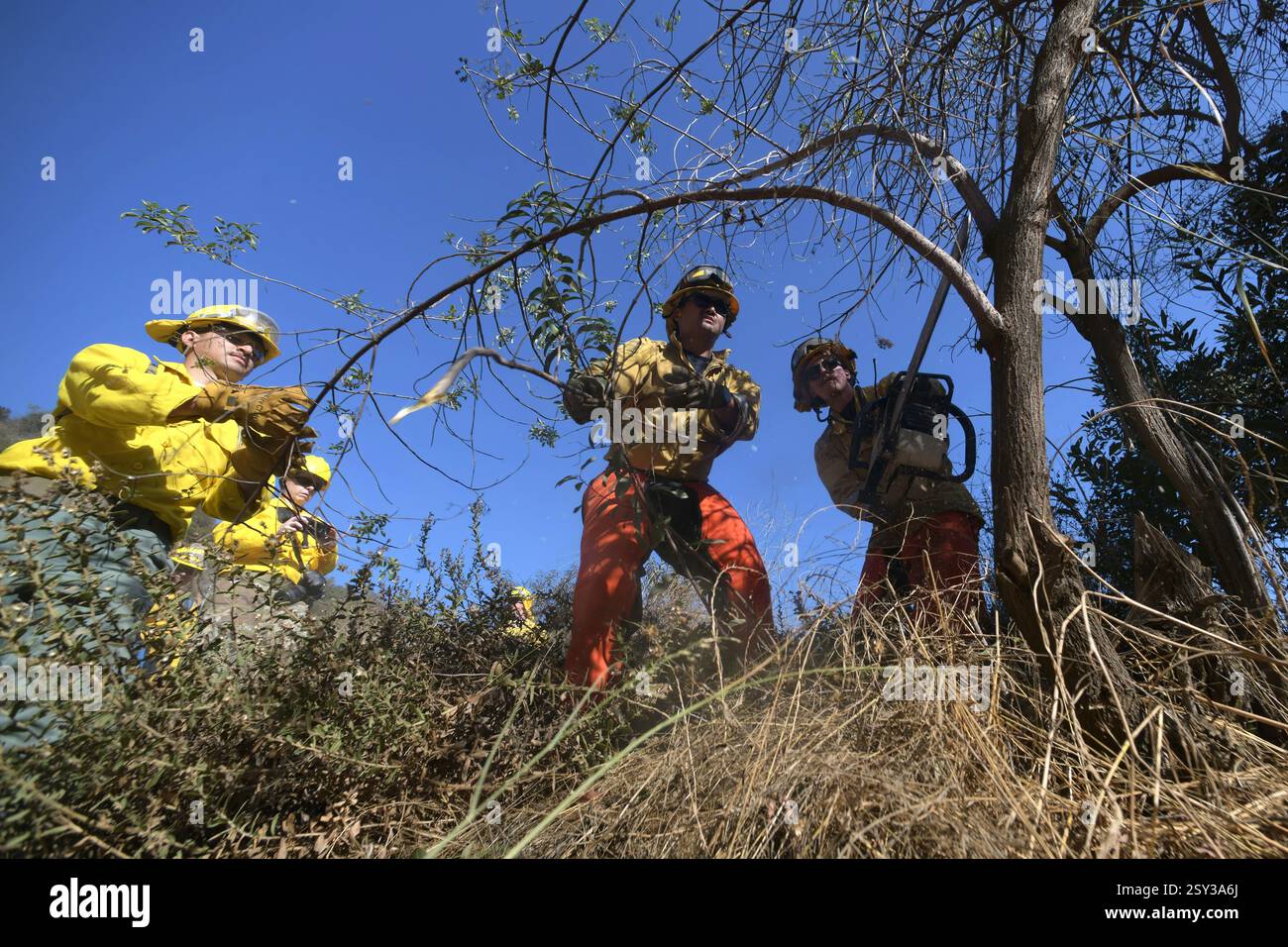 Soldiers with 1st Battalion, 160th Infantry Regiment, California Army ...