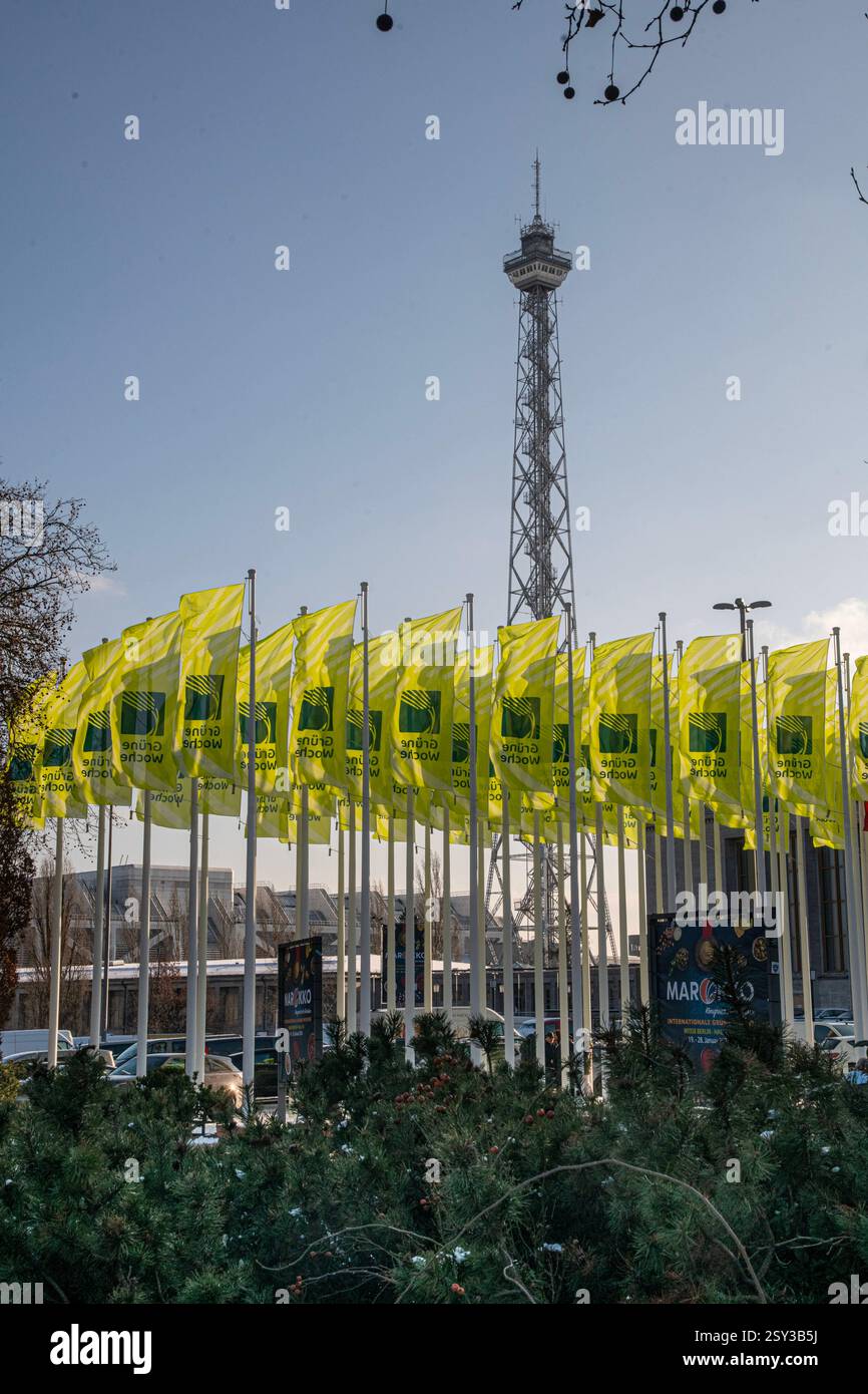 GER, Berlin, Fahnen, Messe-Gelaende, Gruene-Woche, Berlin , Charlottenburg, Westend, am 20.01. ...