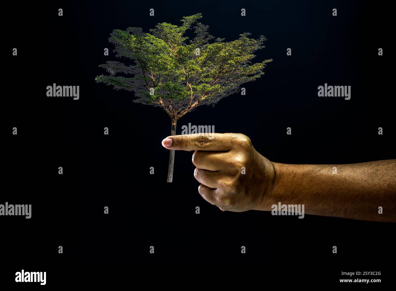 Hand of asia man pinch by finger for pick or taken a tree is ...