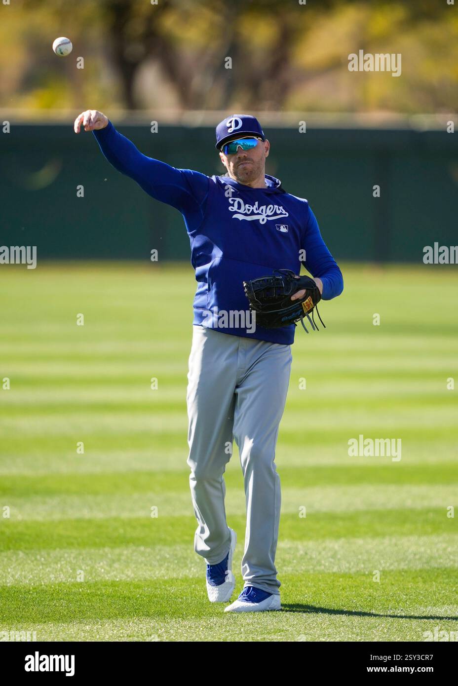 Los Angeles Dodgers first baseman Freddie Freeman works out during a ...