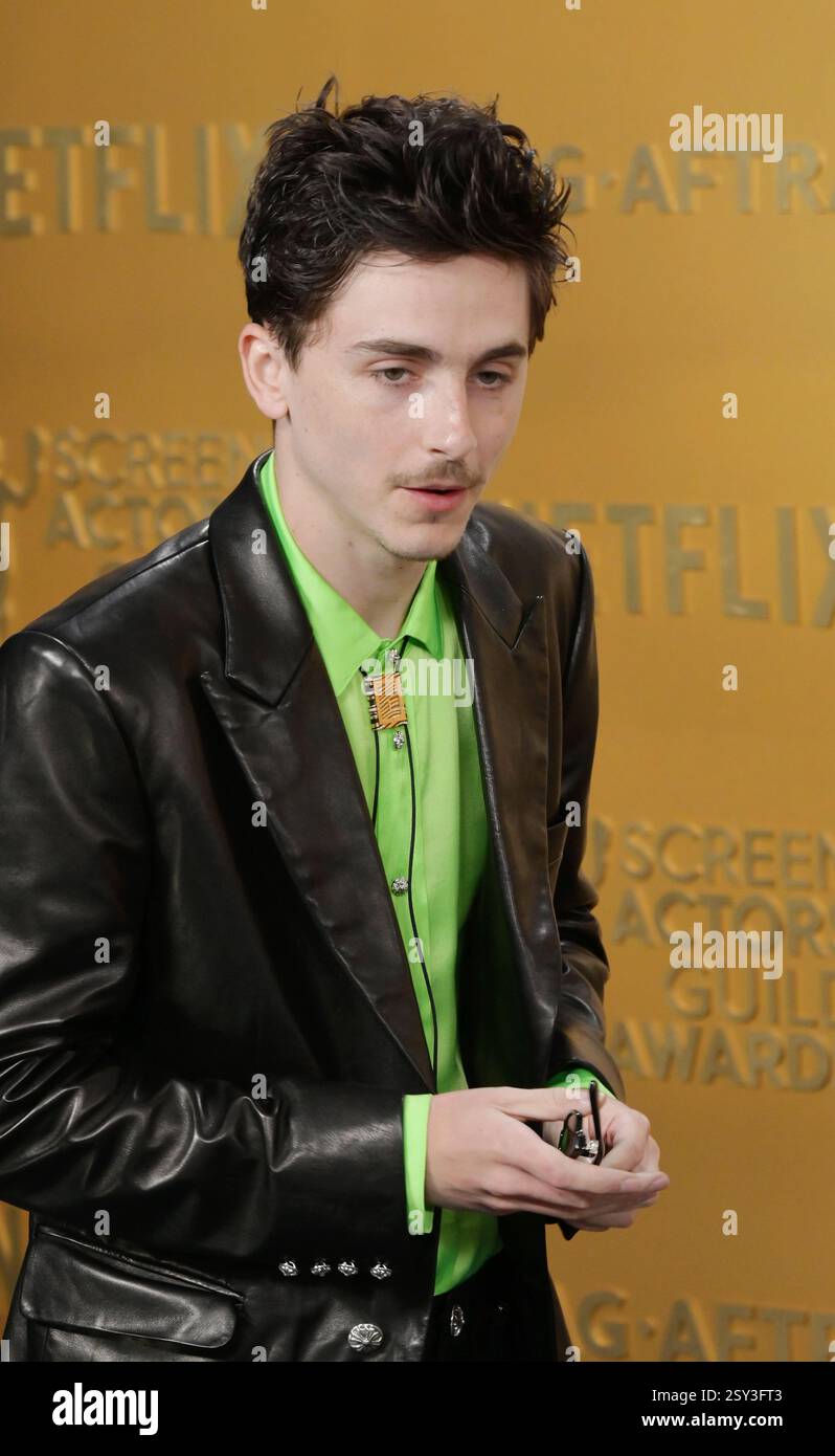 LOS ANGELES, CALIFORNIA - FEBRUARY 23: Timothée Chalamet attends the ...