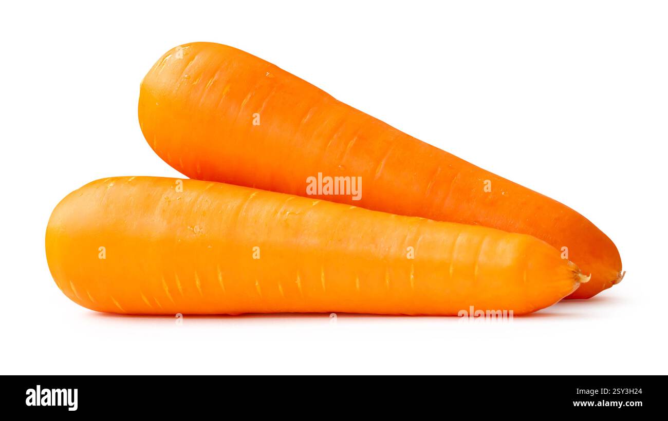 Side view of two fresh orange carrot roots in stack is isolated on ...