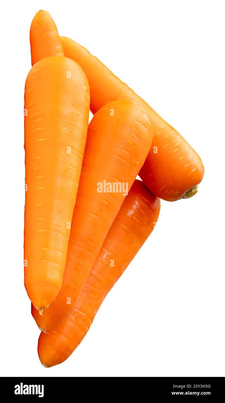 Side view of five fresh orange carrot roots in stack is isolated on ...