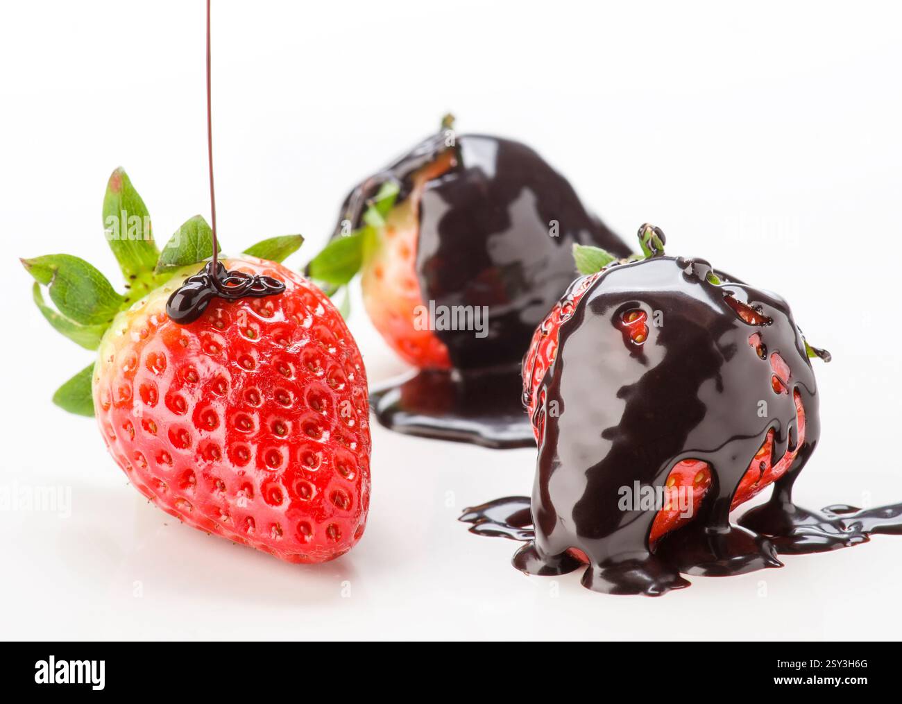 Juicy red strawberries are covered in glossy dark chocolate, creating ...