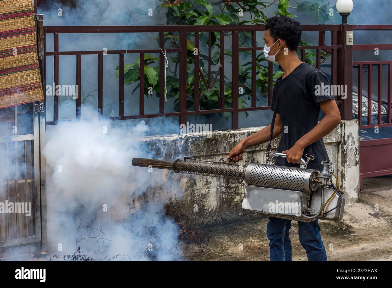 People fogging DDT spray kill mosquito for control Malaria ...