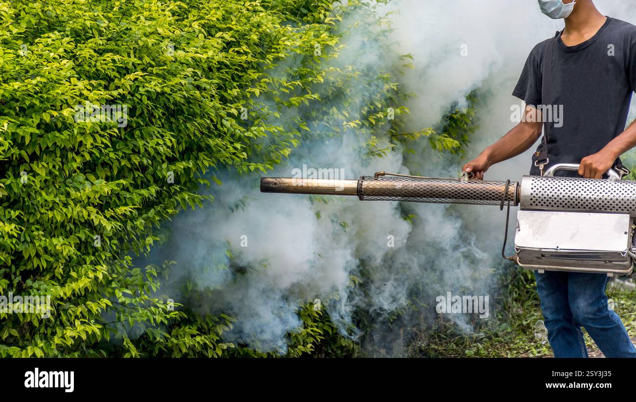 People fogging DDT spray kill mosquito for control Malaria ...