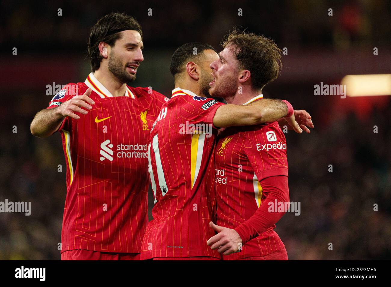 Liverpool's Virgil van Dijk during the Premier League match between ...