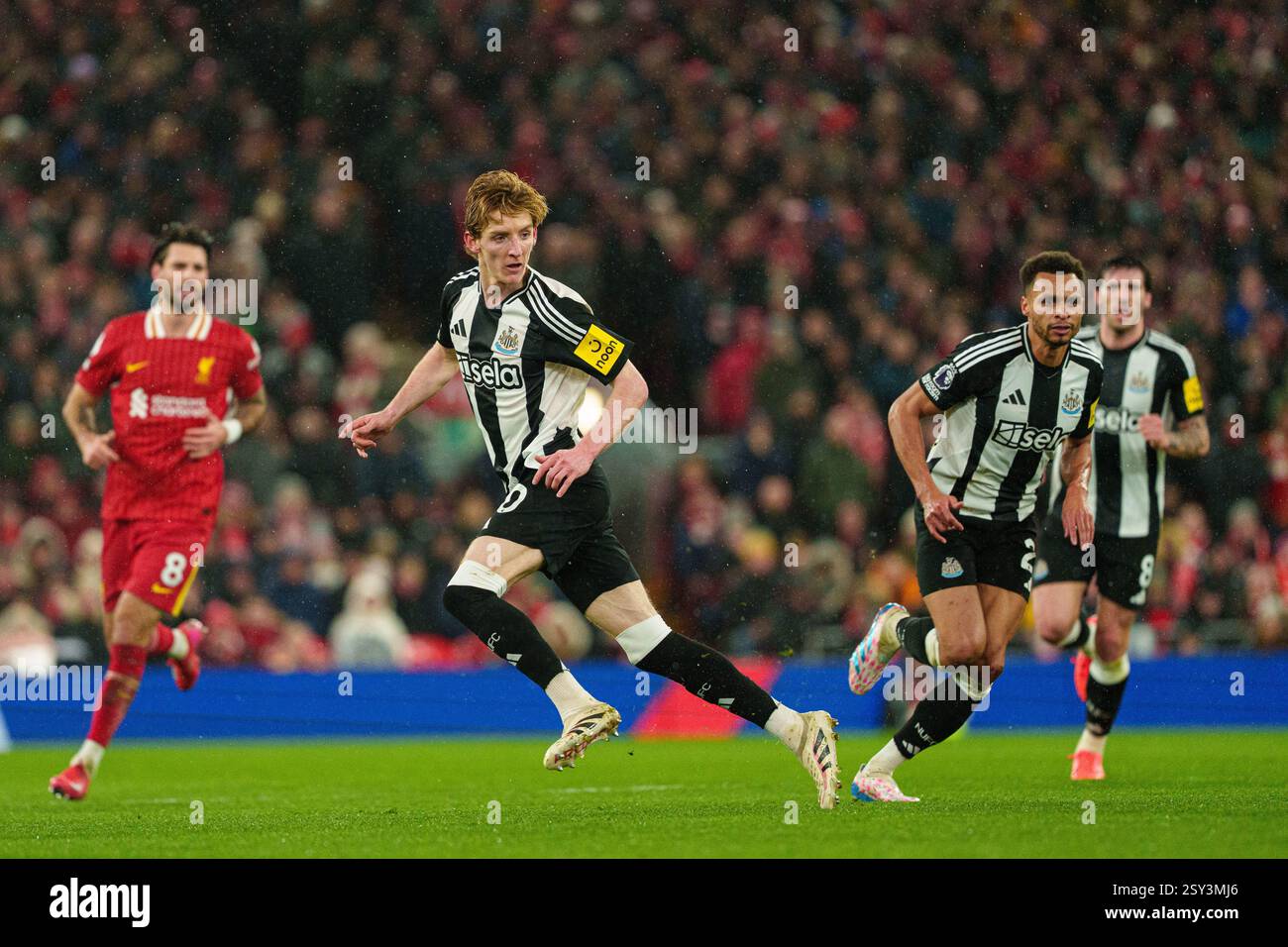 Newcastle United's Anthony Gordon during the Premier League match ...