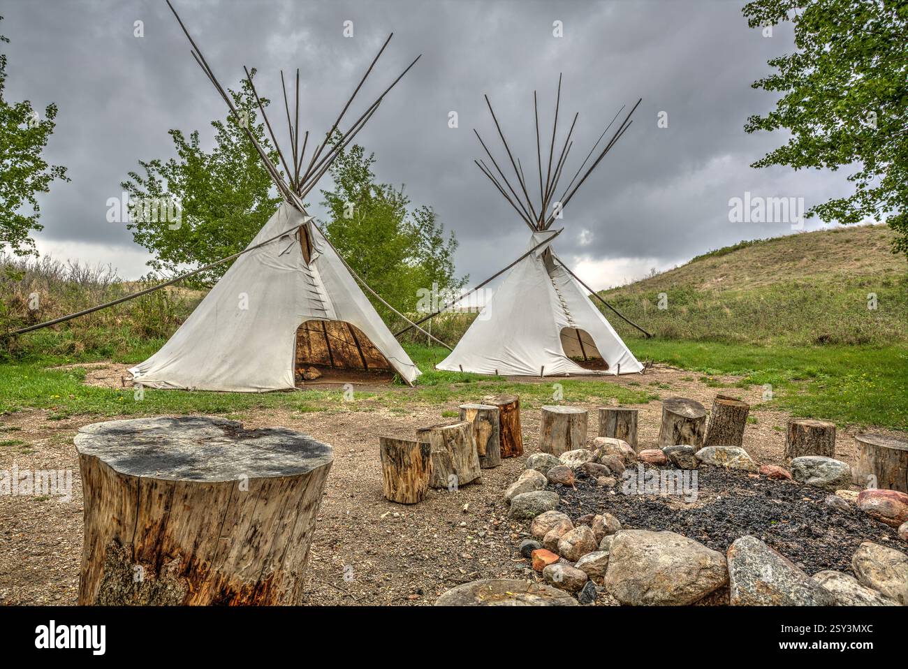 Two teepees are in a field. One is white and the other is tan. There is ...
