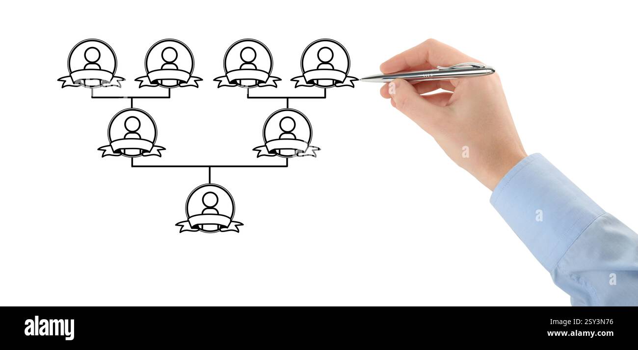 Man drawing family tree on white background. Scheme with human figures ...