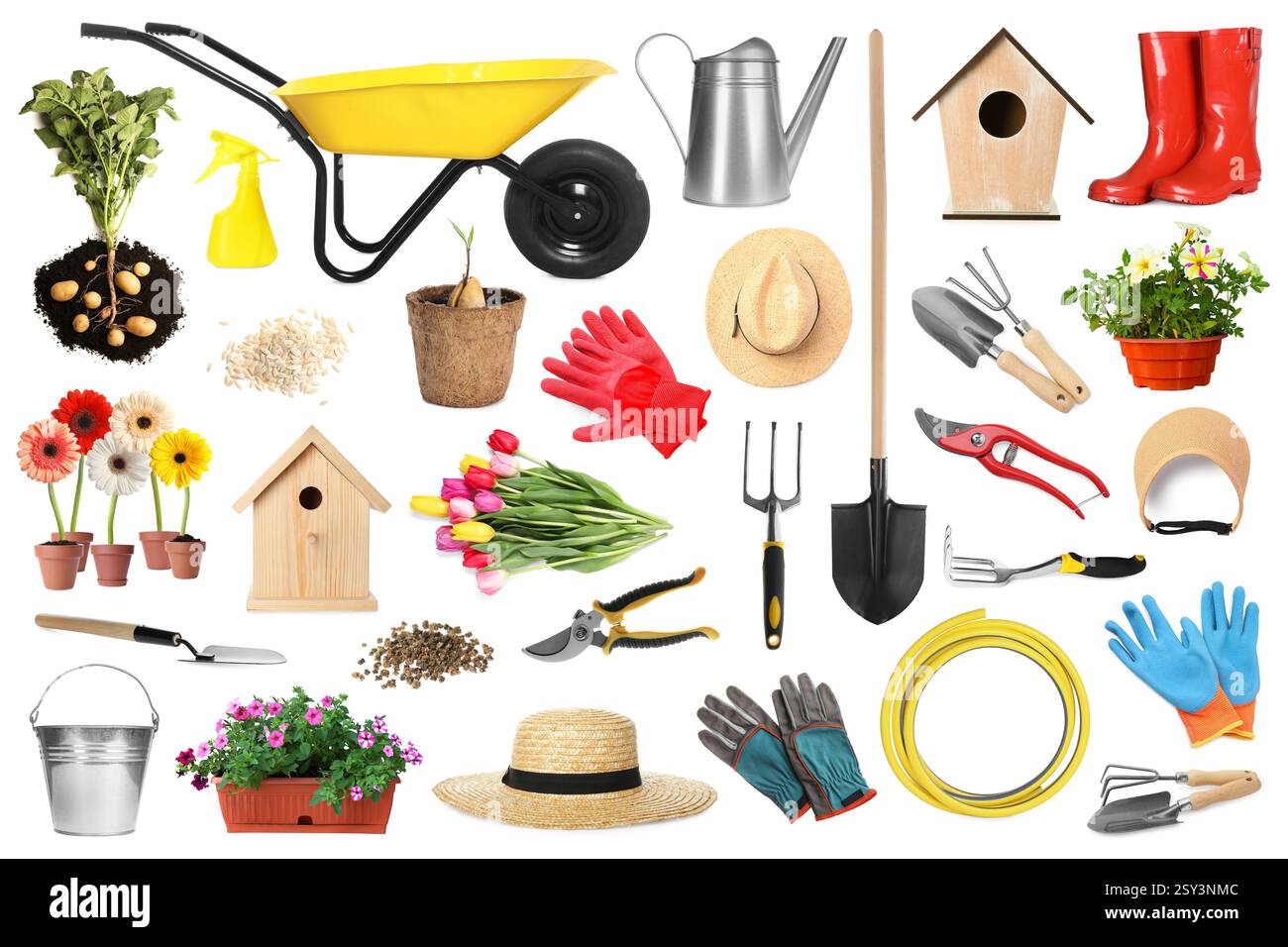 Set of different gardening tools and plants isolated on white Stock ...