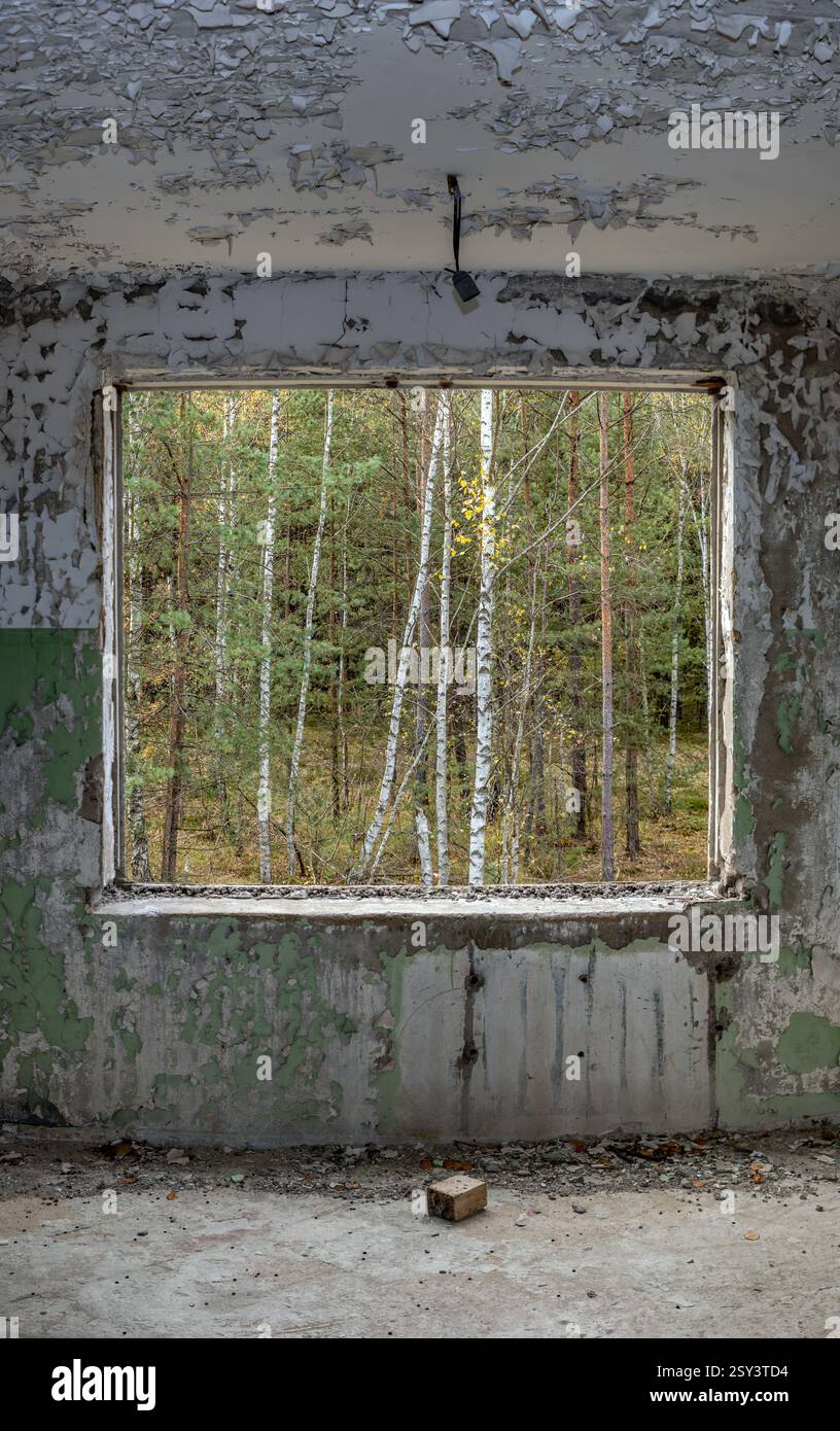 Abandoned damaged room with a view outside through a hole instead of a ...