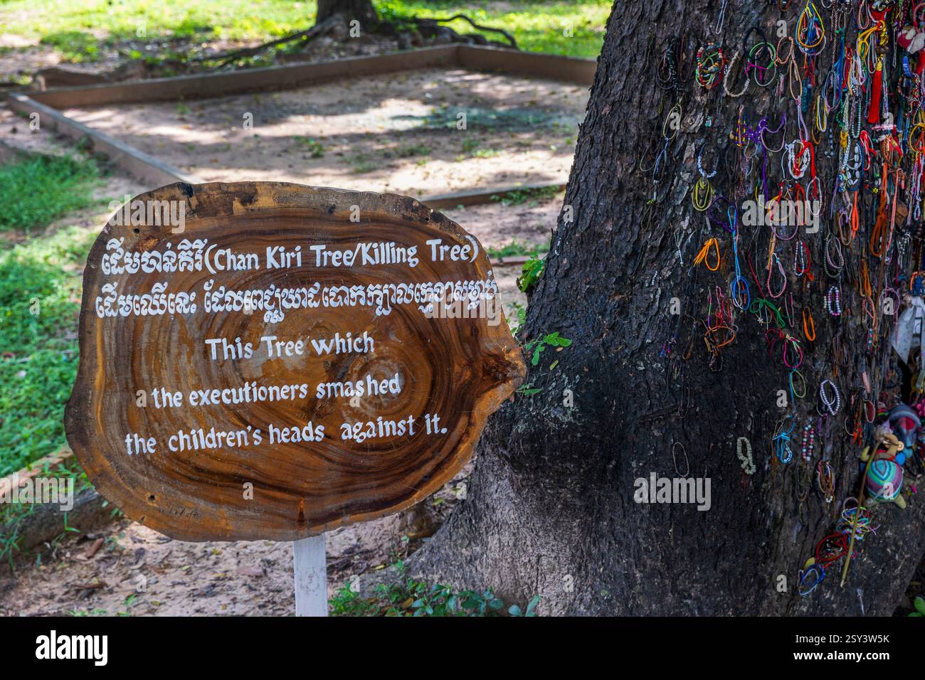 A wooden sign explains the significance of the Killing Tree at Choeung ...