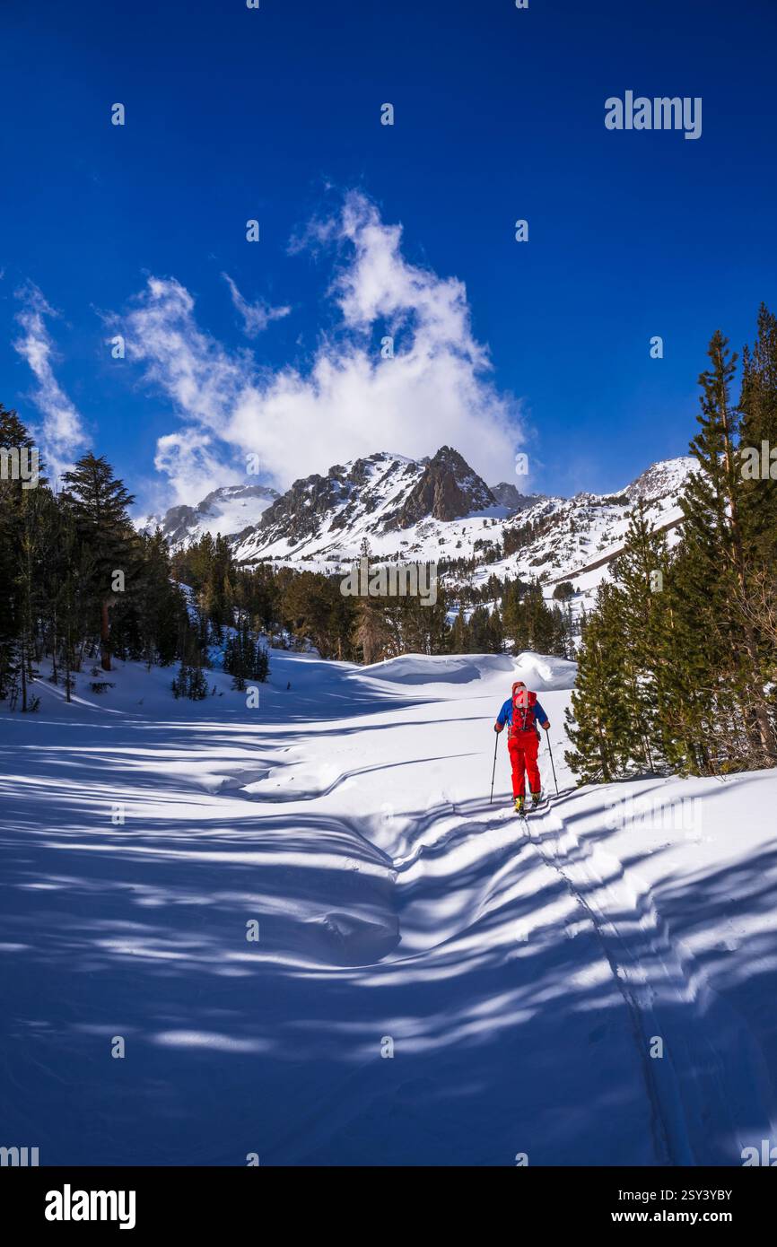 Backcountry skier in the Virginia Lakes Basin, Hoover Wilderness ...