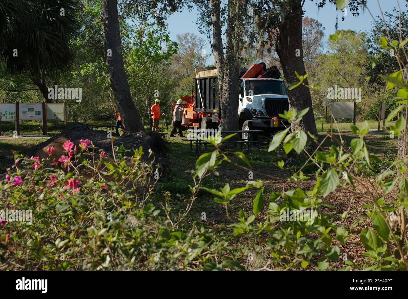 Editorial Use Only. St. Petersburg, Florida, USA, February 26, 2025 ...