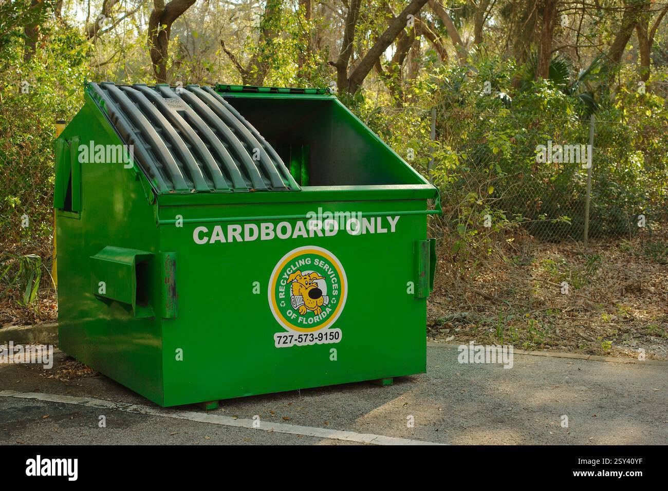 Editorial Use Only. St. Petersburg, Florida, USA, February 26, 2025.Green Cardboard Recycle Bin ...