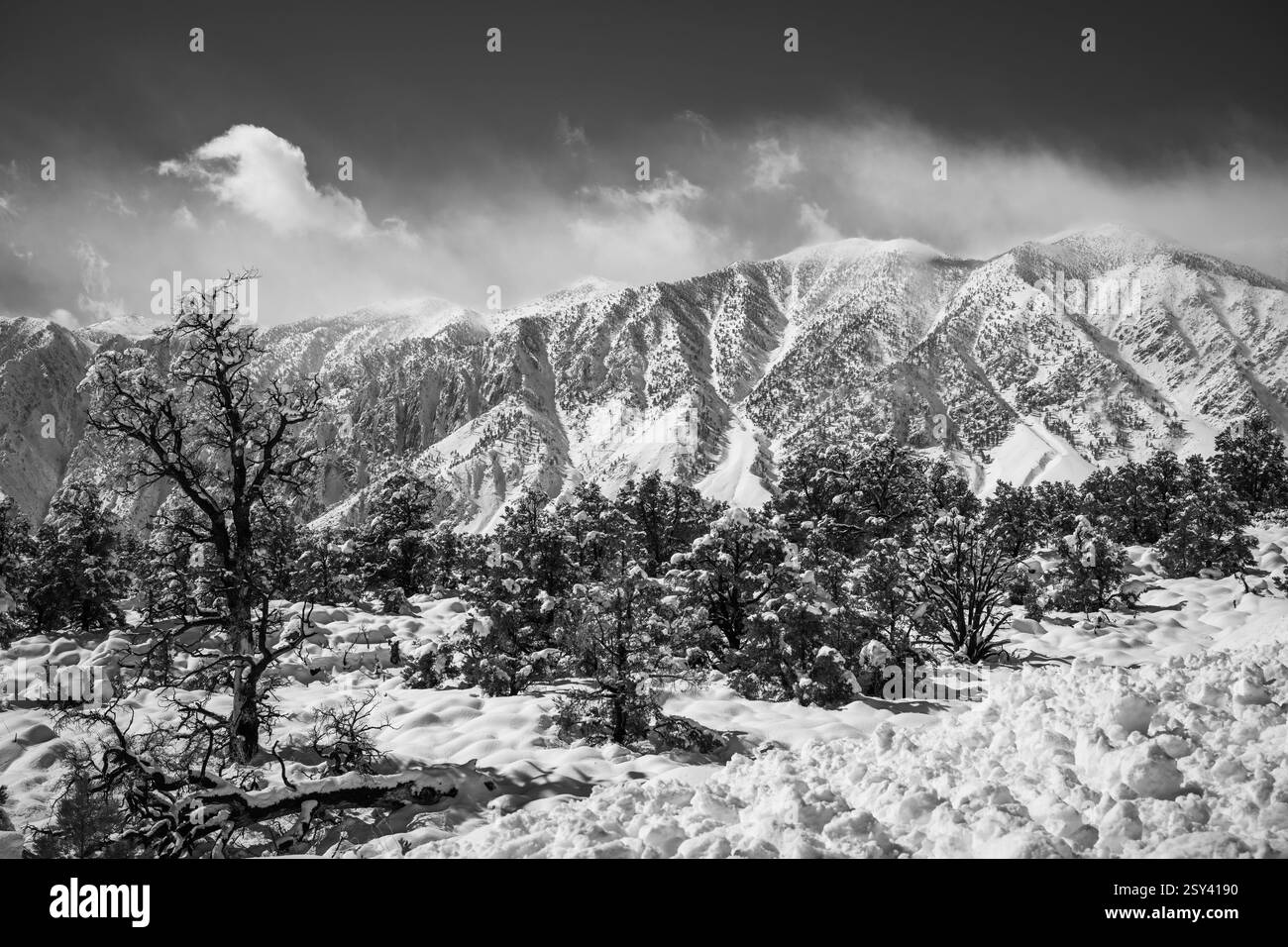 Mount Tom after a winter storm, John Muir Wilderness, California USA ...