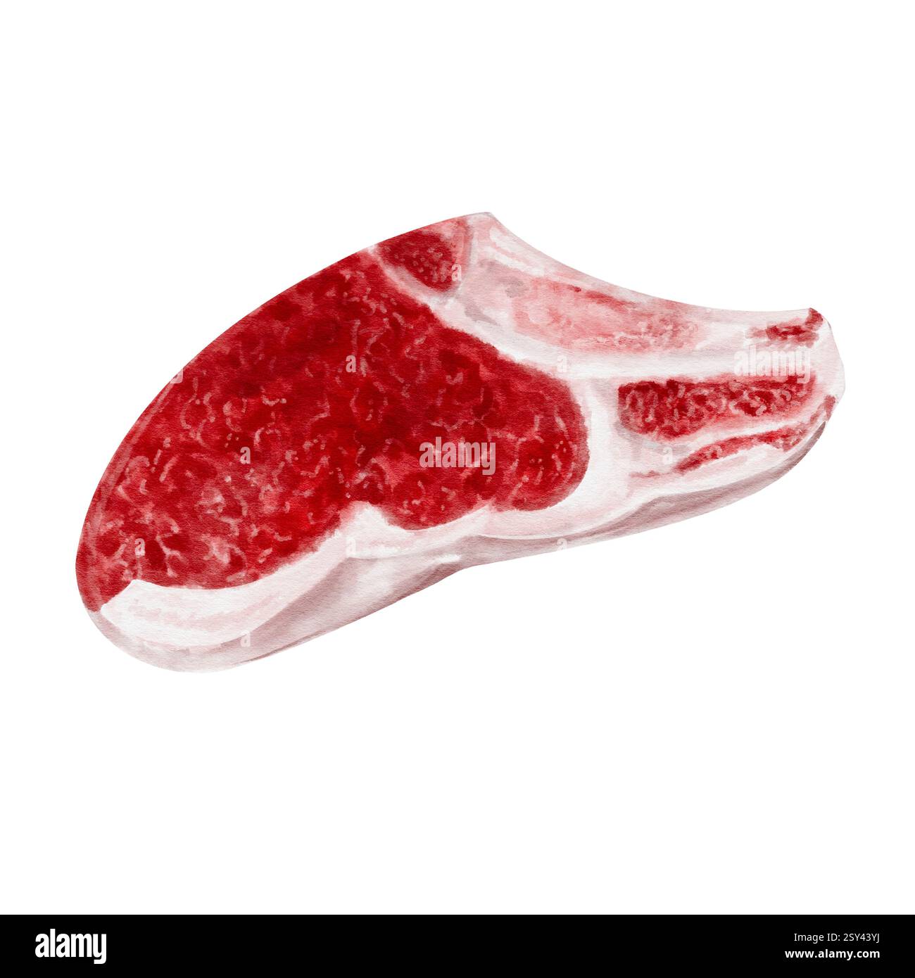 marbled beef. piece of meat for steak. fillet and bone. lamb, pork ...