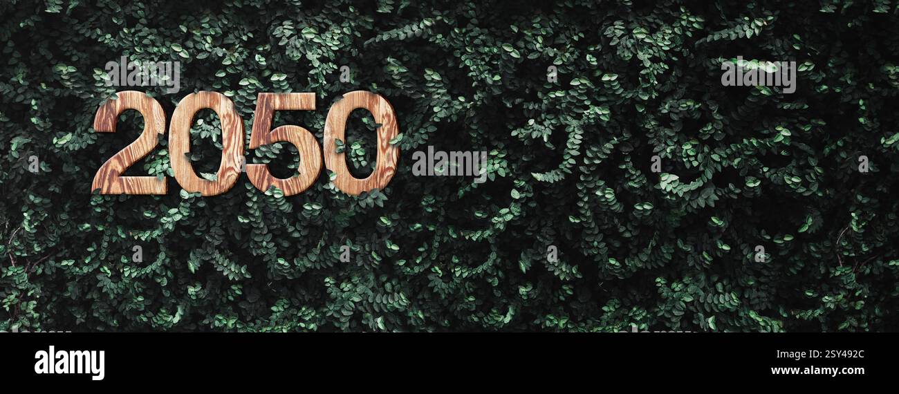 net zero carbon emission 2050 on big green leaves wall background for ...