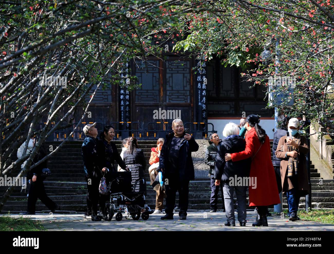 **CHINESE MAINLAND, HONG KONG, MACAU AND TAIWAN OUT** Blooming begonia ...