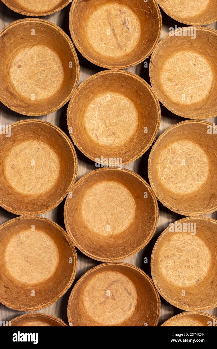 Empty plant in ground natural eco plant pots background backdrop ...