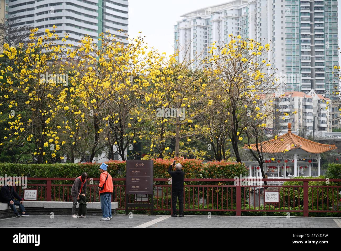 **CHINESE MAINLAND, HONG KONG, MACAU AND TAIWAN OUT** Spring flowers ...