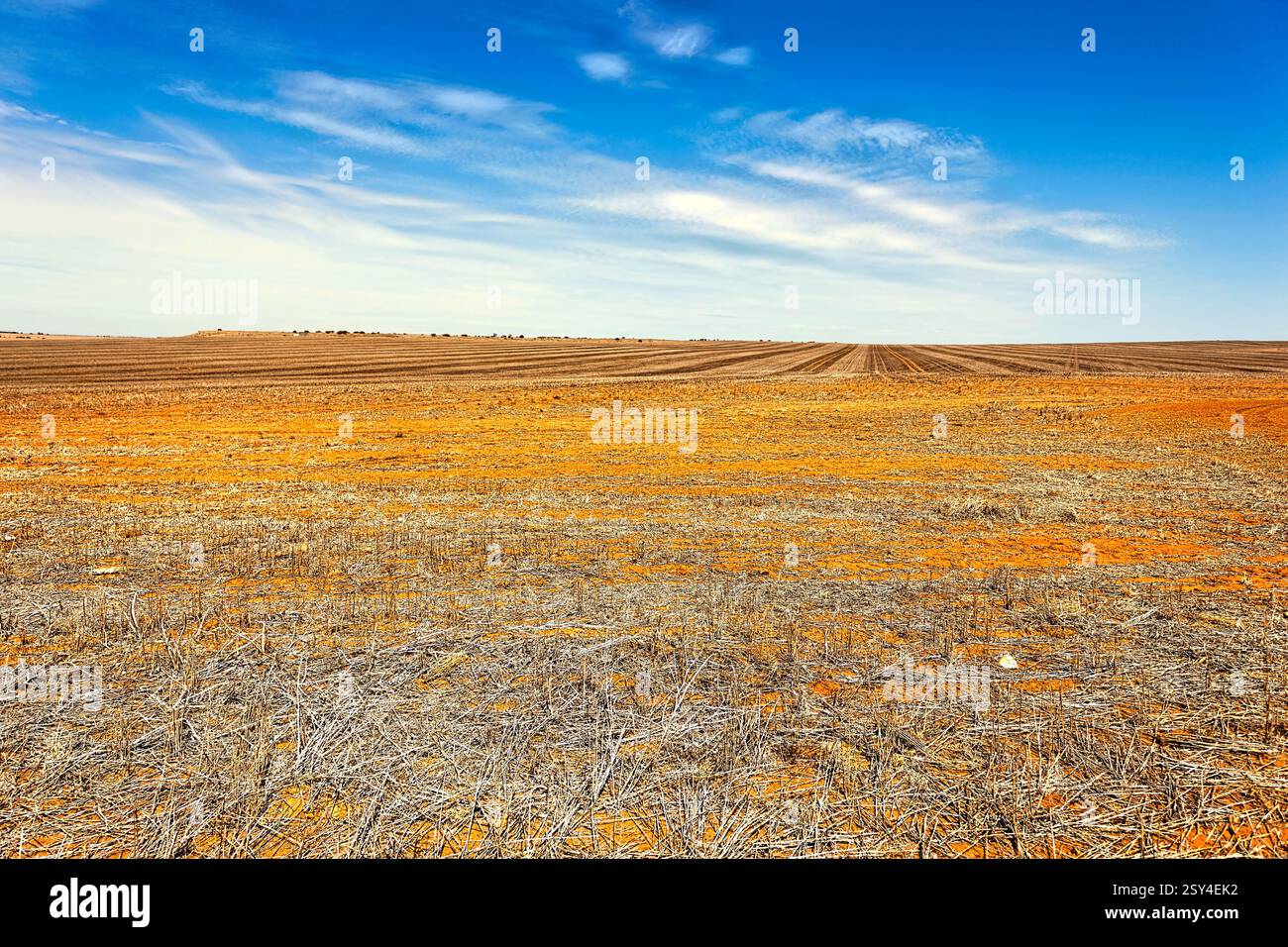 Rural farmland after harvest, Western Australia Stock Photo - Alamy