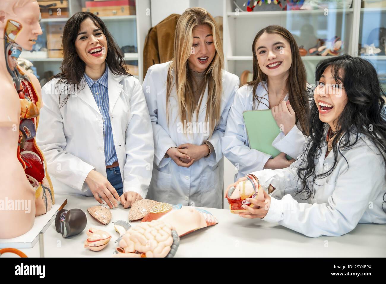 Four cheerful medical students examining anatomical models and having fun during an anatomy ...