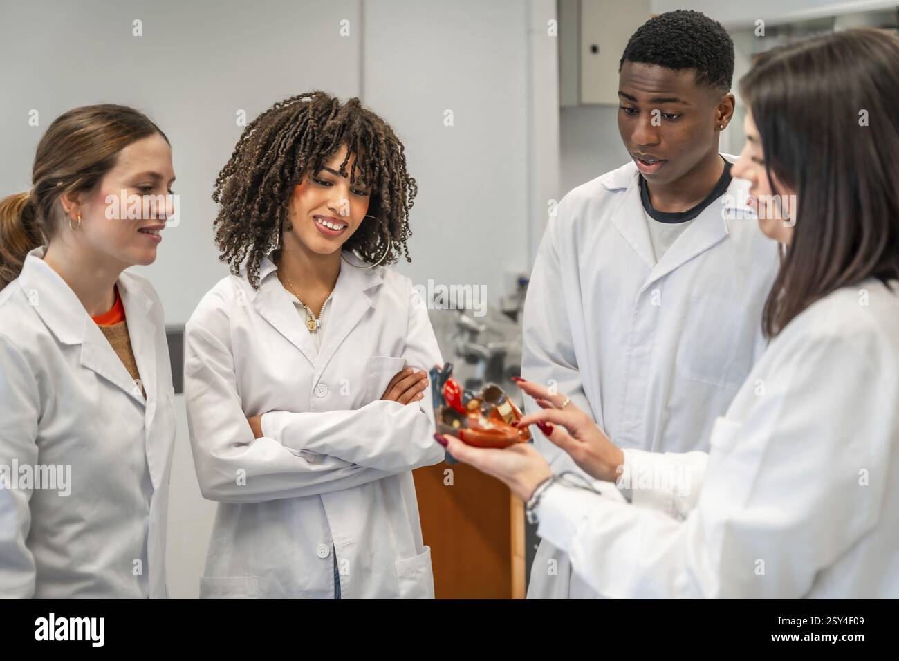 Professor showing a heart model to her students during an anatomy ...