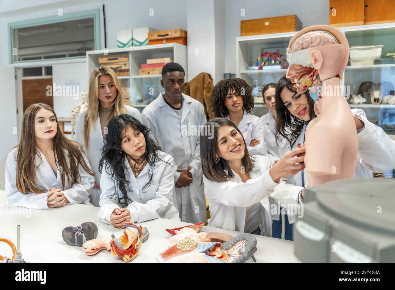 Group of multi ethnic medical students learning anatomy with anatomical model at university ...
