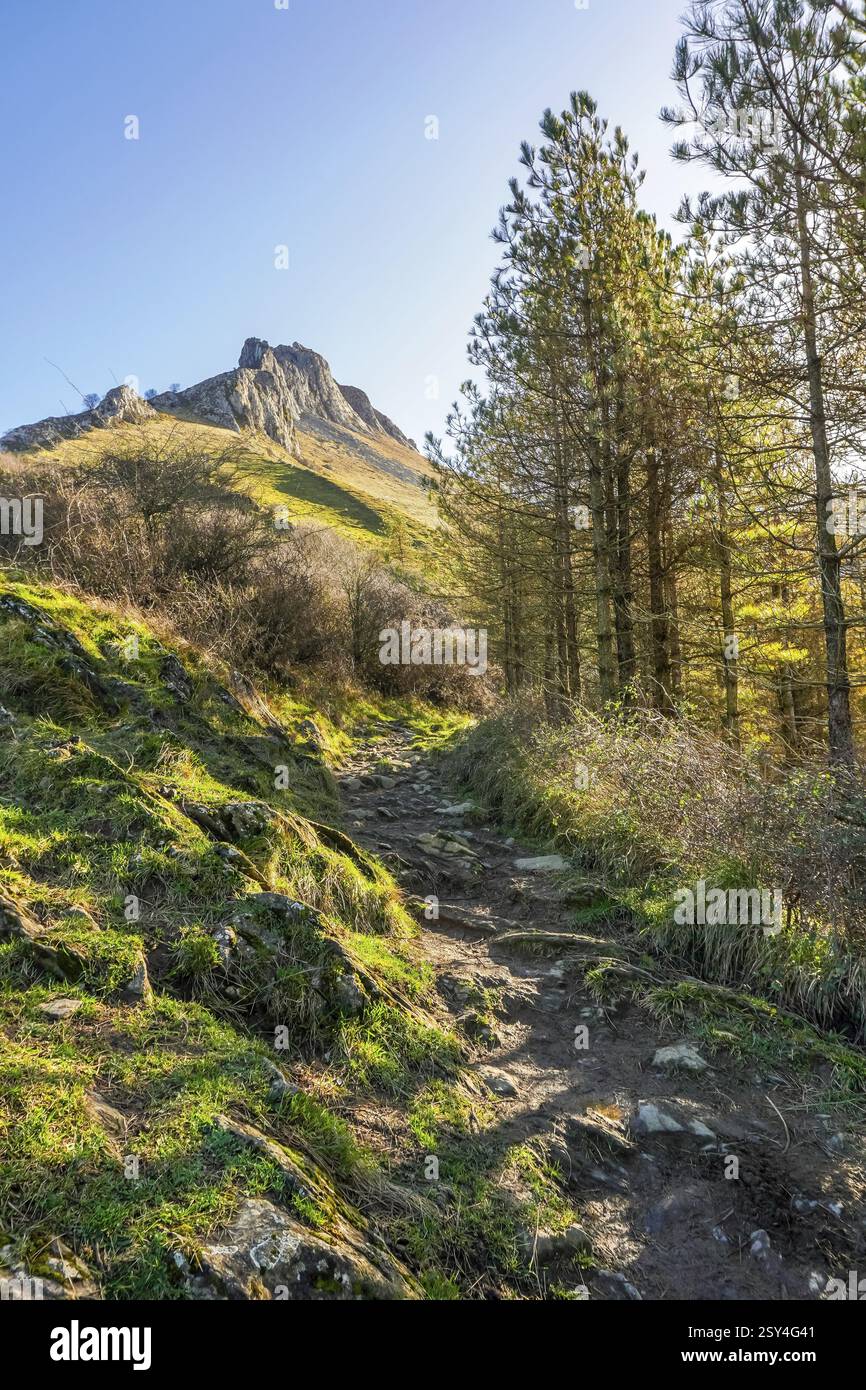 Scenic hiking trail ascending through lush vegetation and pine trees ...
