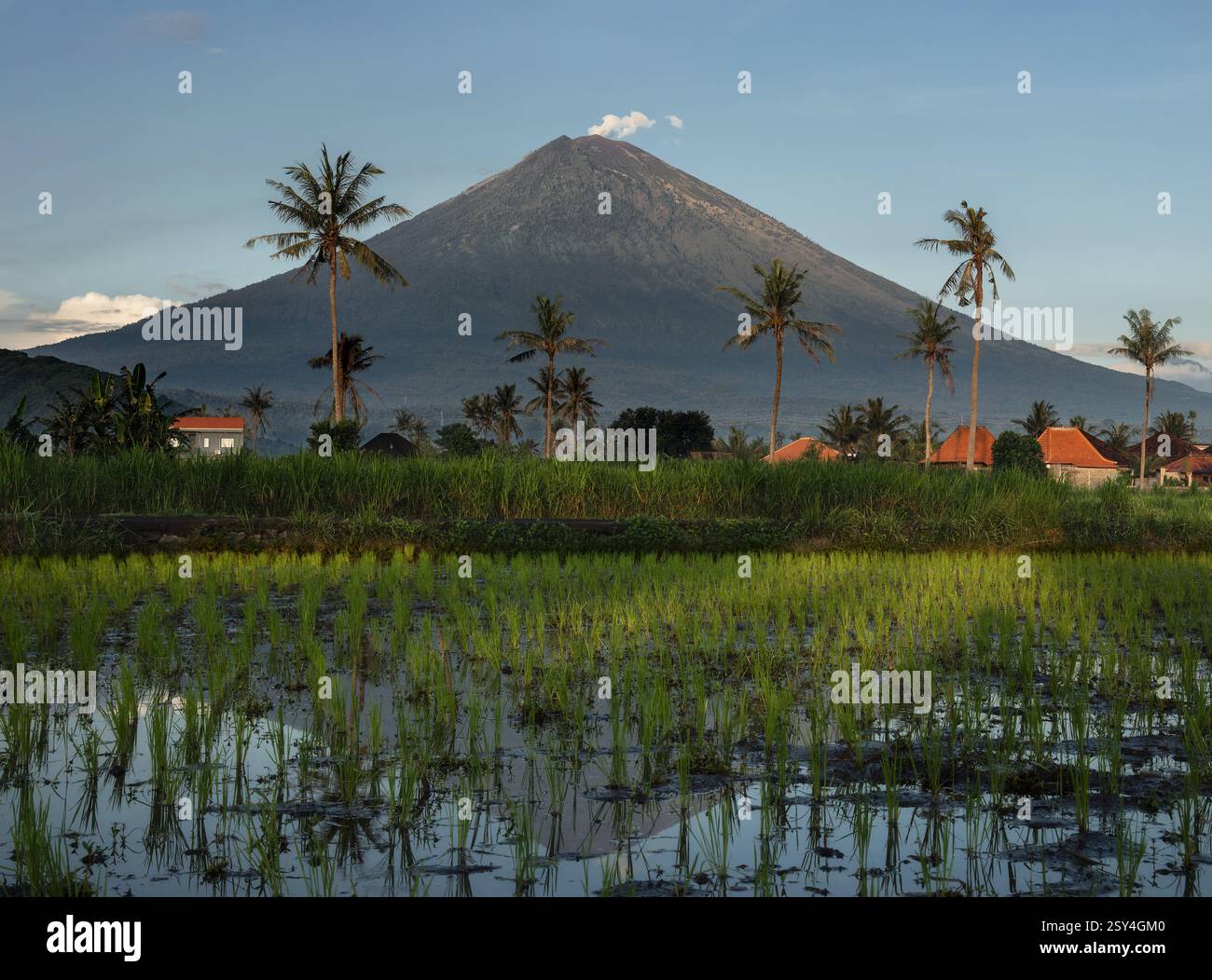 Magnificent mount Agung volcano and scenic paddy rice fields at sunset ...
