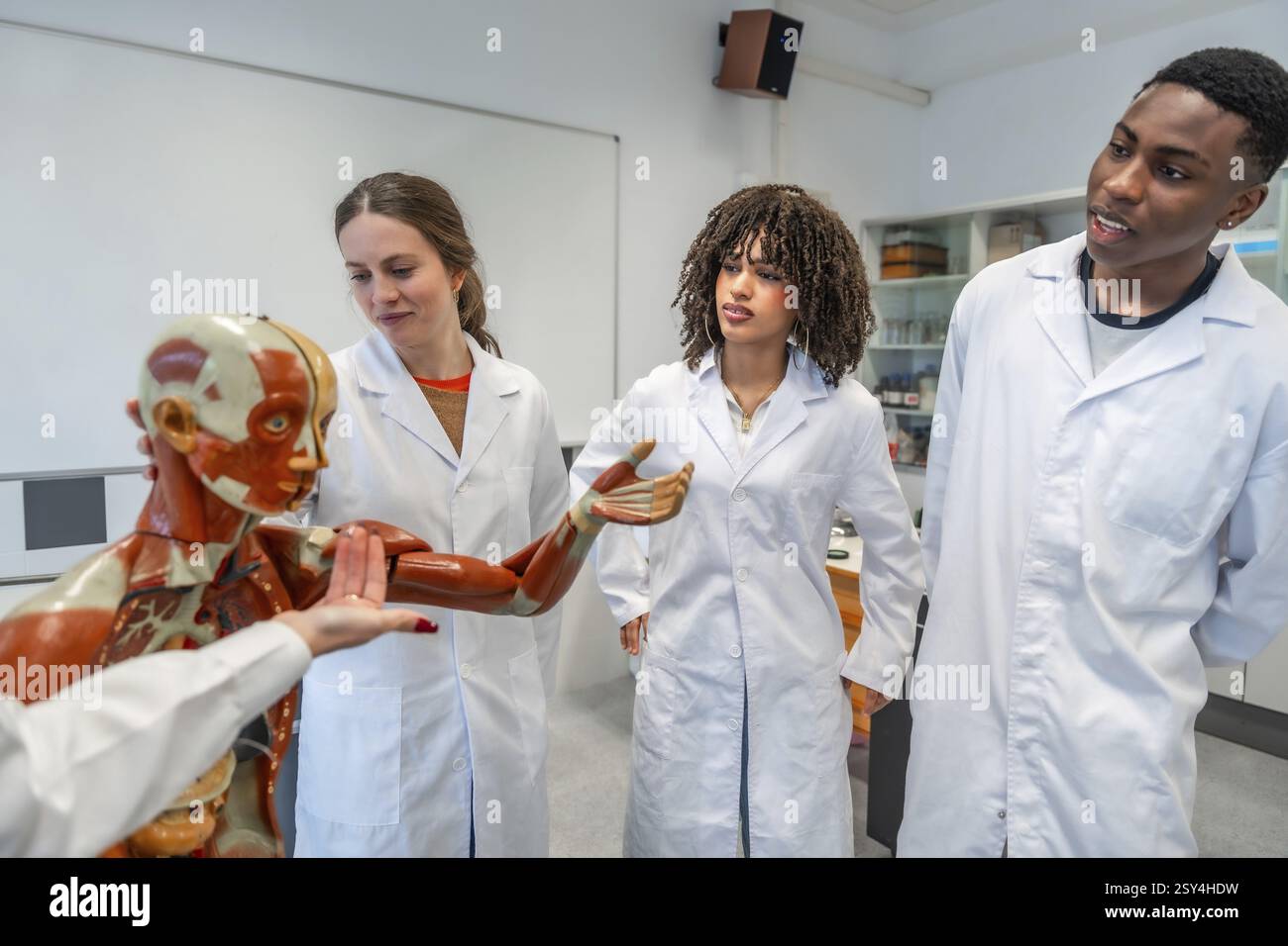 Group of medical students wearing lab coats learning human anatomy using an anatomical model in ...