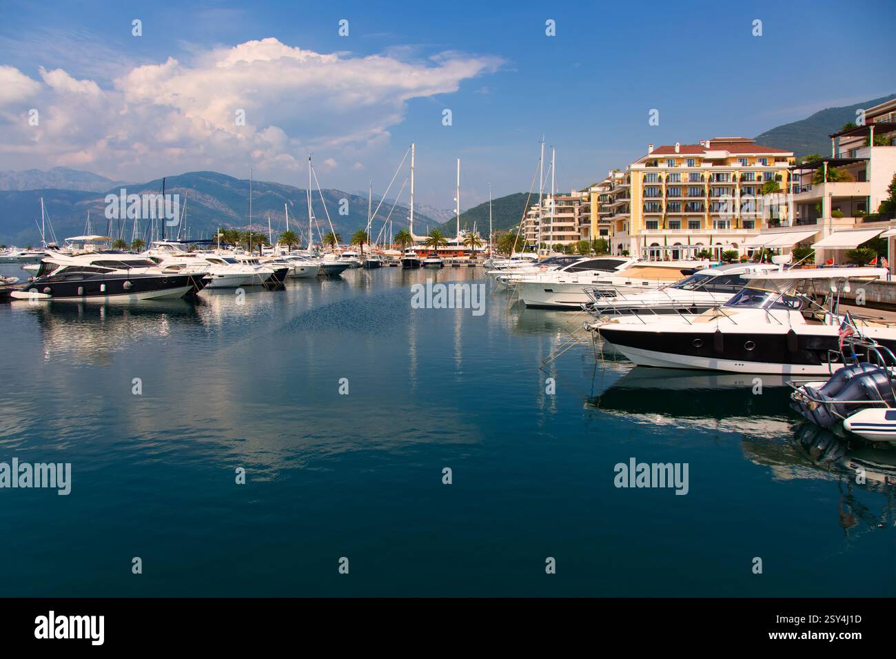 A luxurious marina in Tivat, Montenegro, with elegant yachts and calm ...