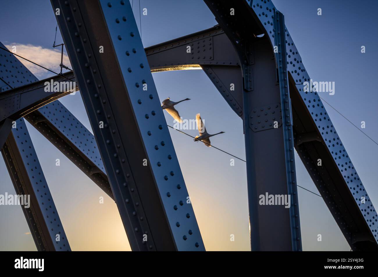 Framed by steel and sky, the frozen river flows beneath, sculpting ice ...
