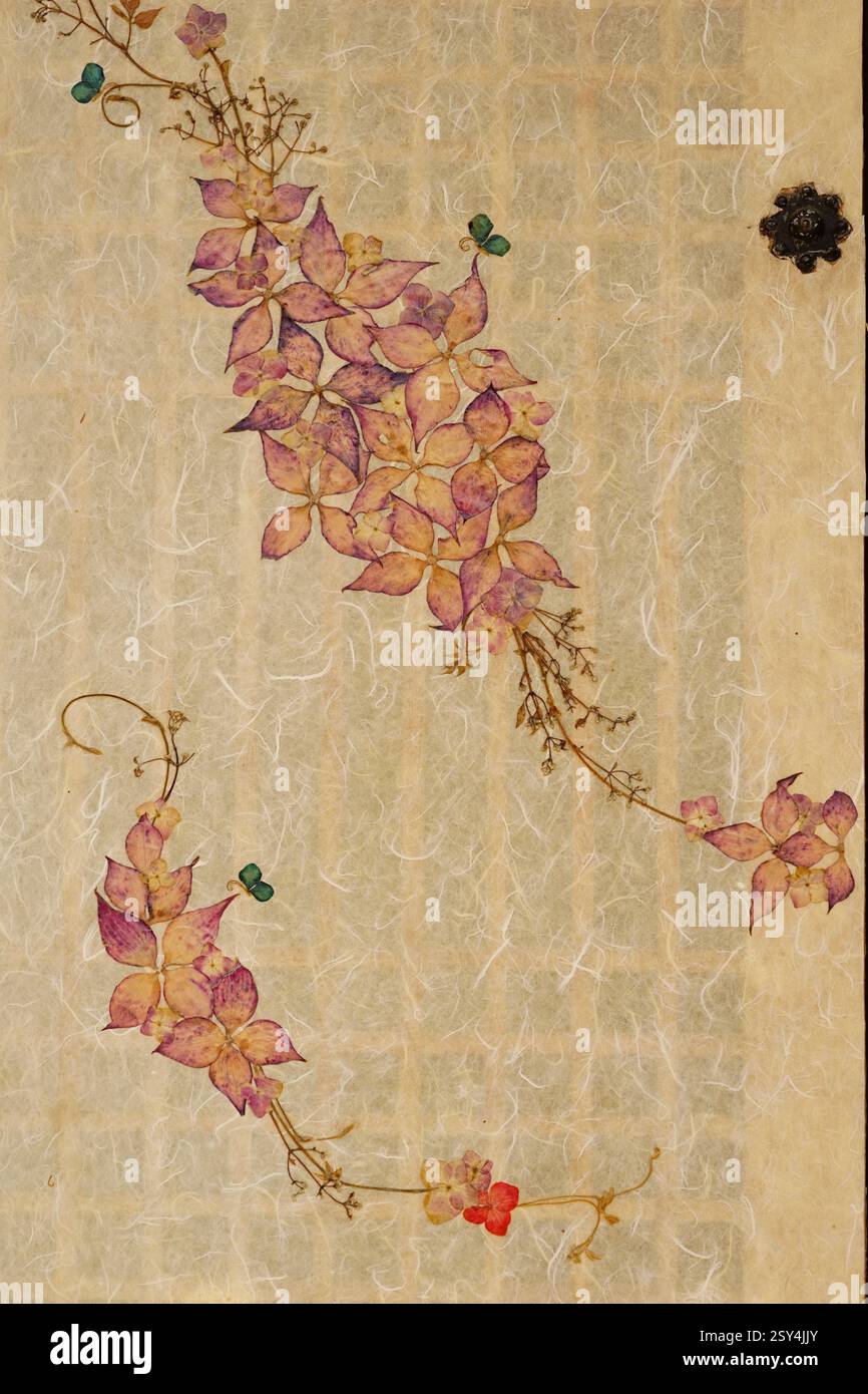 Flower shape painted on traditional Korean window paper Stock Photo - Alamy