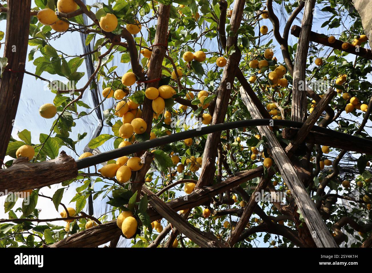 Sentiero a gradini hi-res stock photography and images - Alamy