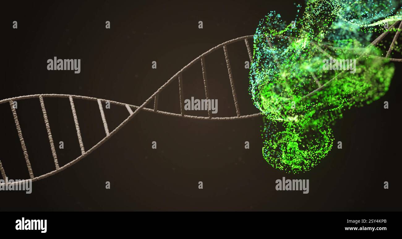 Green dna data code hi-res stock photography and images - Alamy