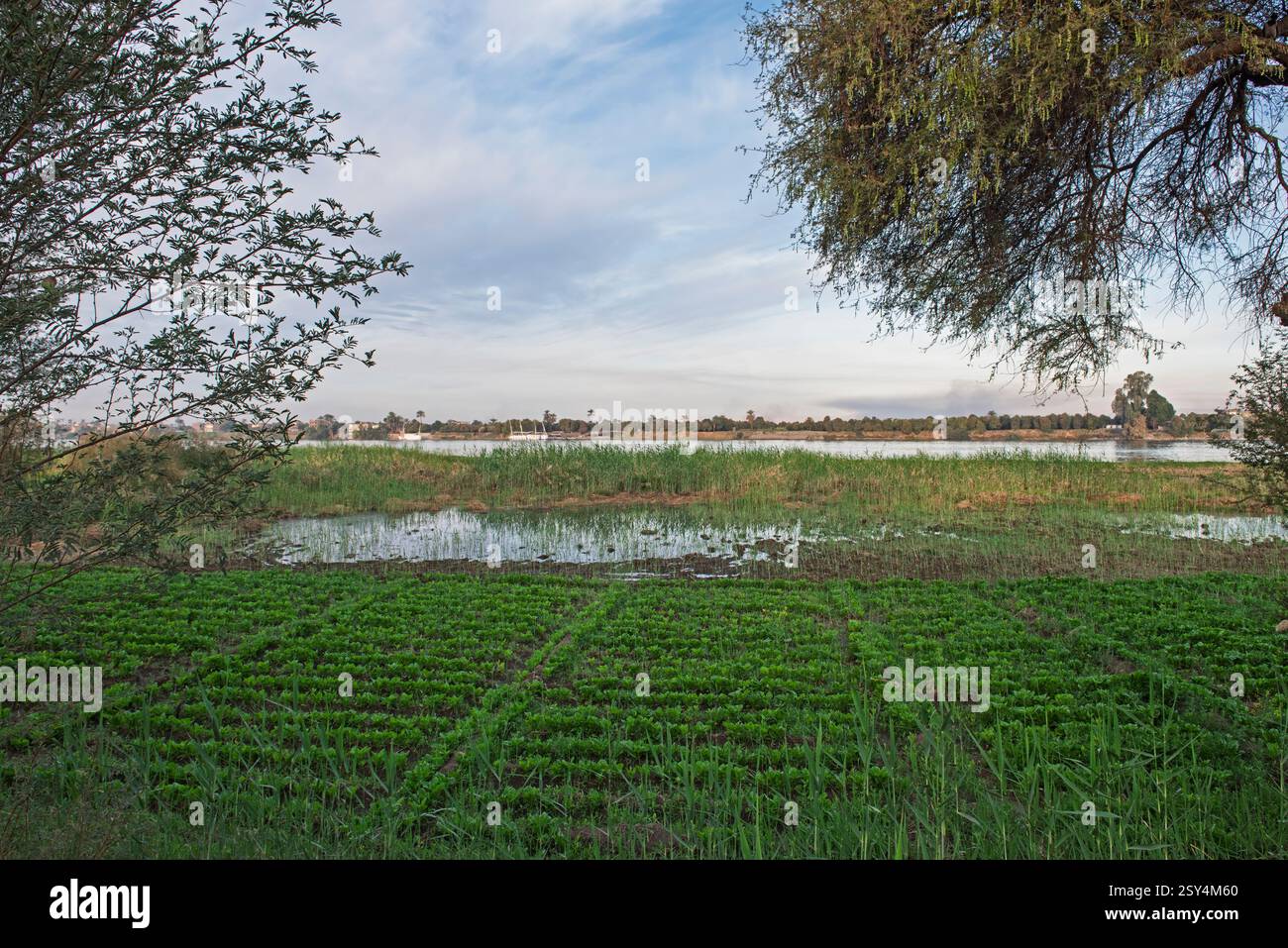Arable agricultural field meadows in rural countryside landscape ...
