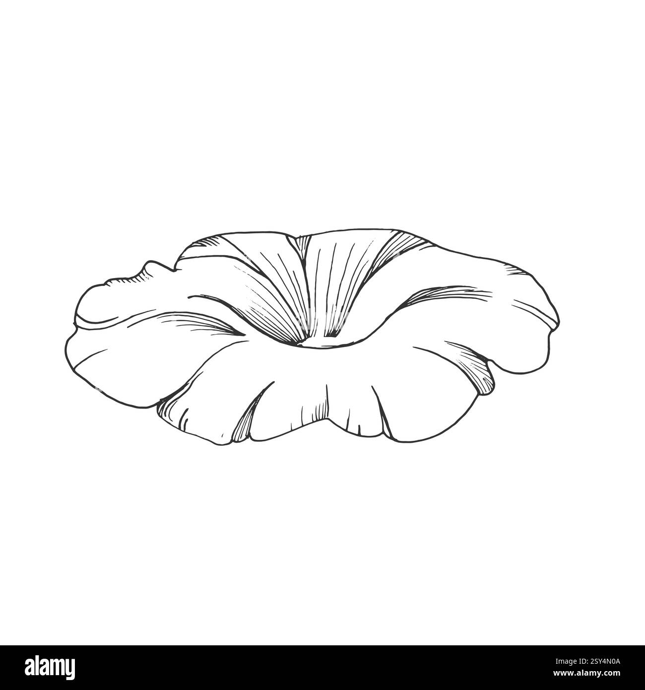 Lotus leaf vector illustration hand drawn with ink and isolated on ...