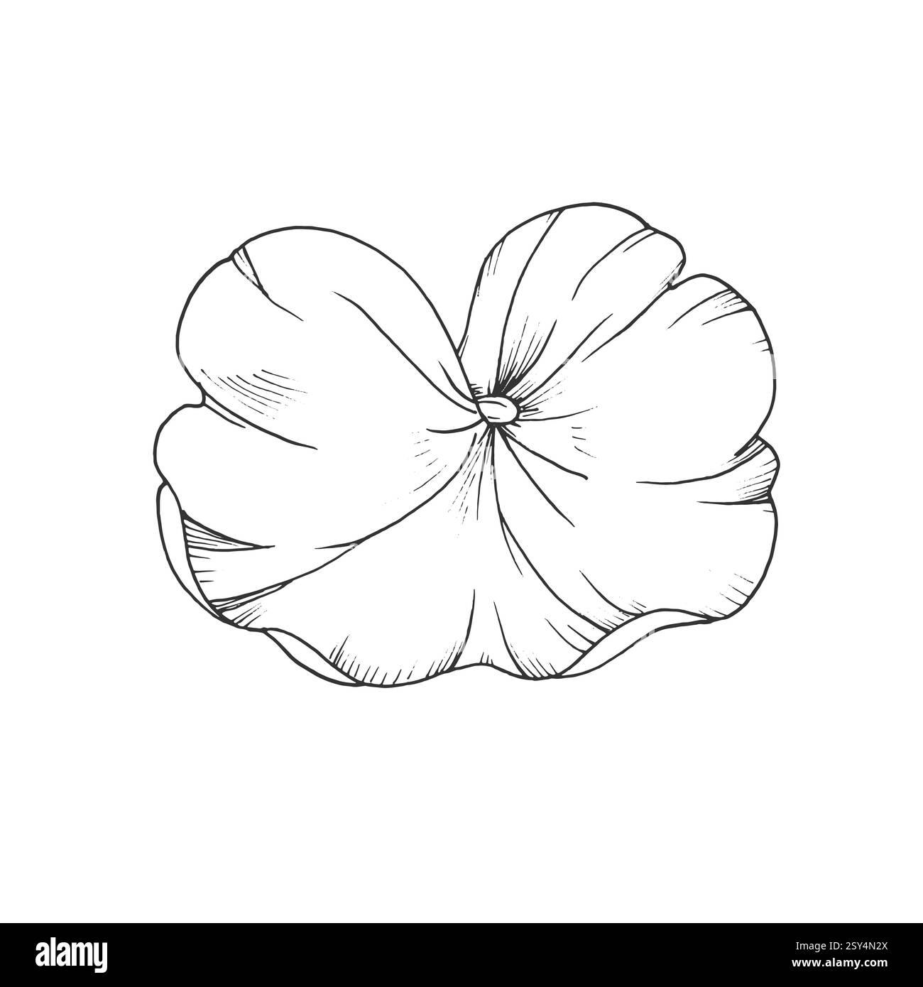 Lotus leaf vector illustration hand drawn with ink and isolated on ...