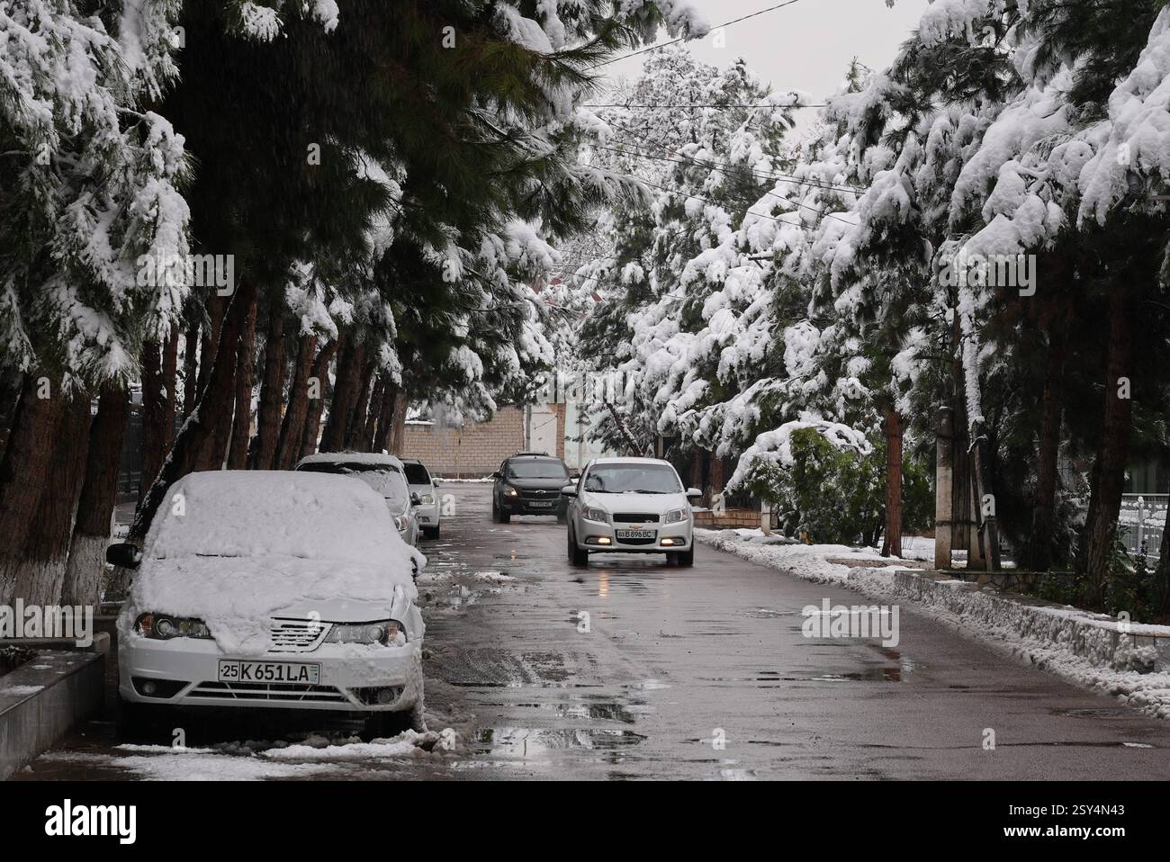 Tashkent. 26th Feb, 2025. This photo taken on Feb. 26, 2025 shows the ...